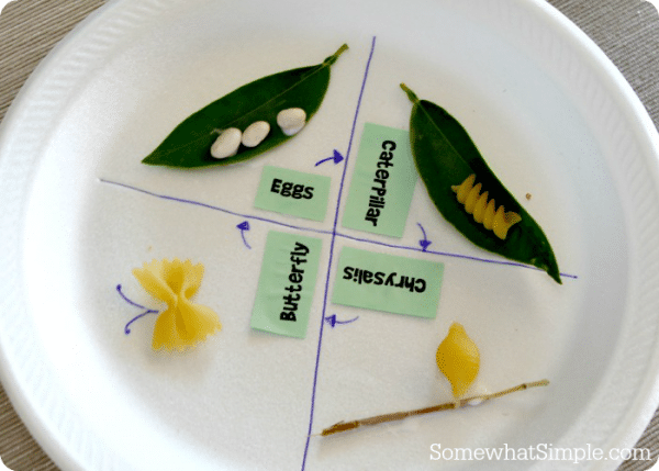 Monarch Butterflies Craft and Activity Book - Somewhat Simple