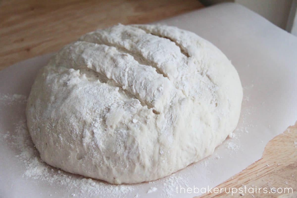 Quick and Easy Crusty Artisan Bread - Somewhat Simple