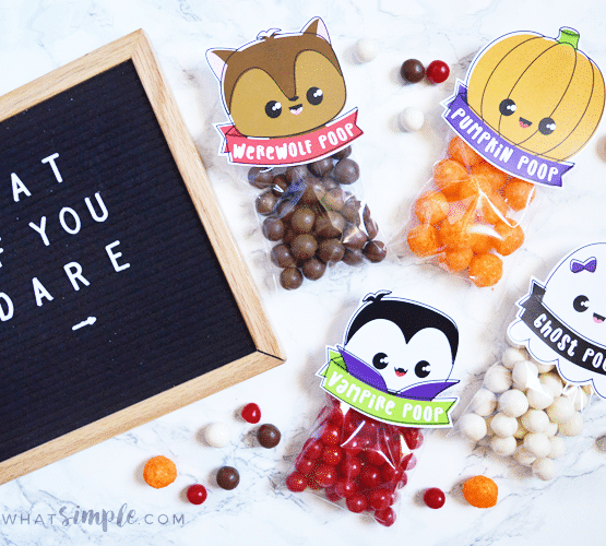 Somewhat Simple | Recipes, Projects, Home, Lifestyle, + Travel