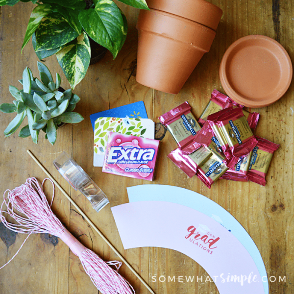 Graduation Gift Plant Wrappers - Free Printable