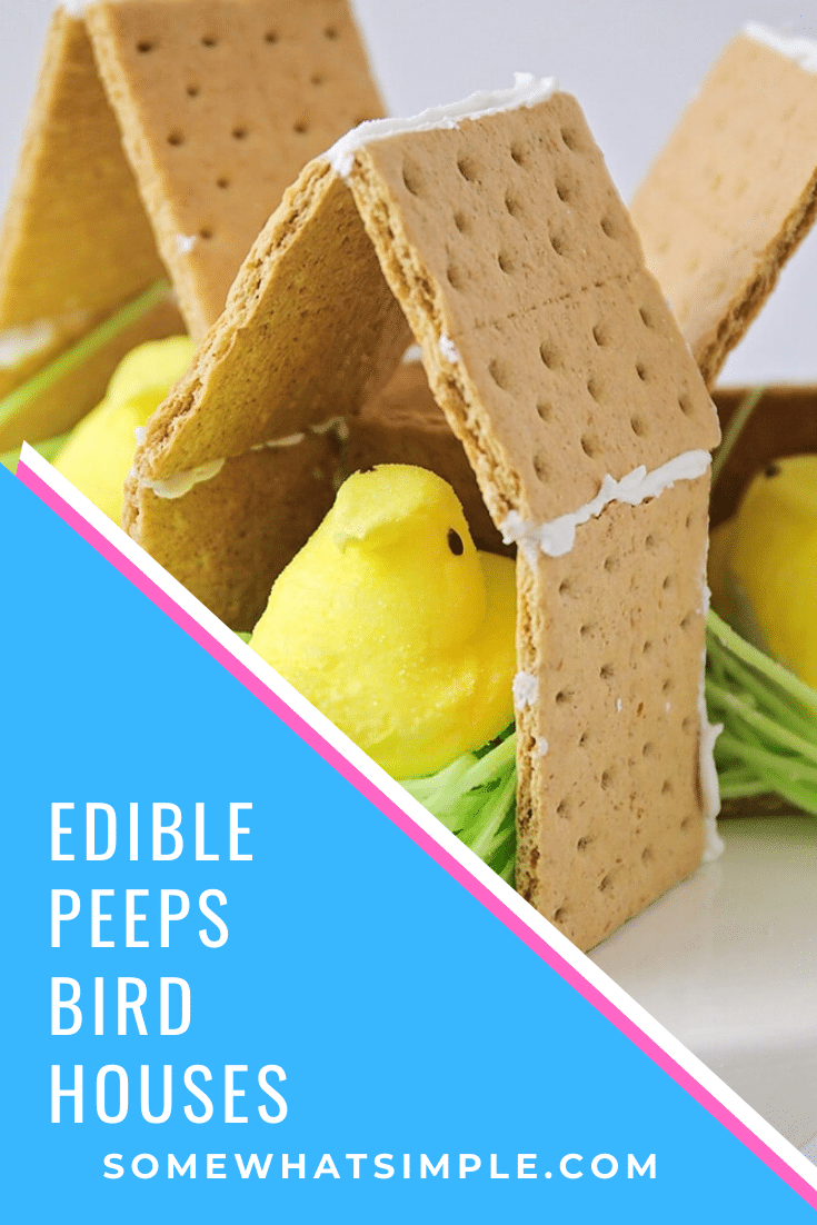 Peeps Bird House - from SomewhatSimple.com