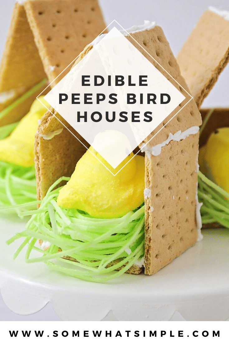Peeps Bird House - from SomewhatSimple.com