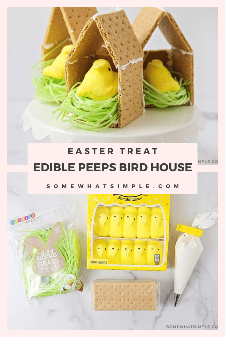 Peeps Bird House - from SomewhatSimple.com