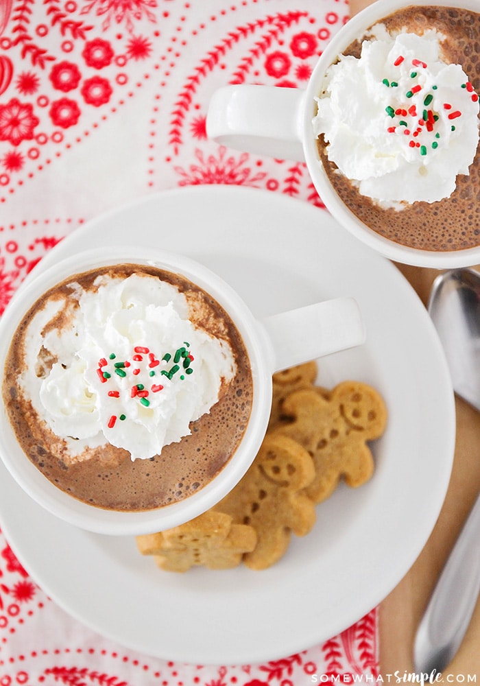 Gingerbread Hot Chocolate Recipe - Somewhat Simple