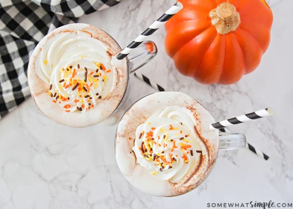 Pumpkin Spice Hot Chocolate Recipe | Somewhat Simple