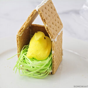 Peeps Bird House |---- from SomewhatSimple.com