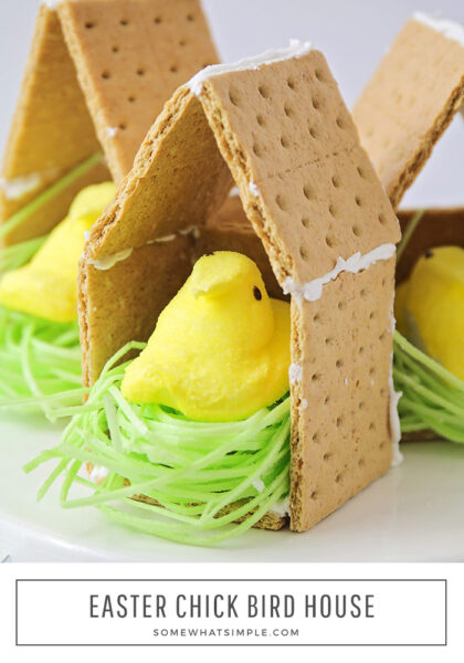 Peeps Bird House - from SomewhatSimple.com