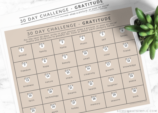 30 Day Gratitude Challenge - from Somewhat Simple