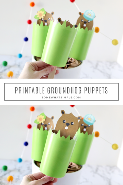 Groundhog Craft - Printable Puppet - Somewhat Simple