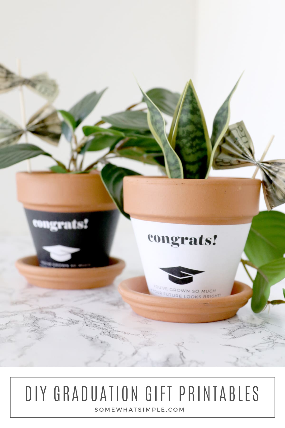 Graduation Money Gift - from Somewhat Simple .com