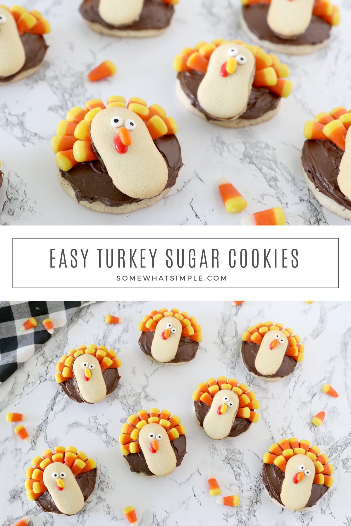 Easy Turkey Sugar Cookies (Ready In 5 Mins) - Somewhat Simple