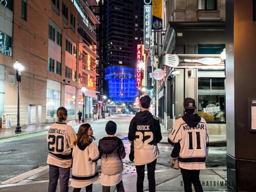 Boston Family Vacation - from Somewhat Simple