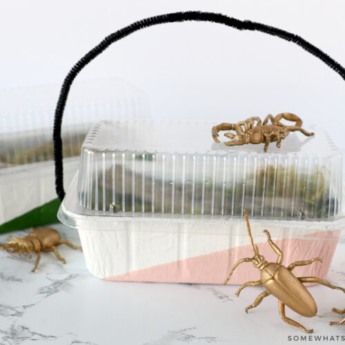 Make Your Own Bug Catchers (Easy Kids Craft) | Somewhat Simple